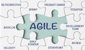 80+ Agile Terms You Need To Know About!