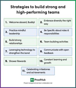 A Complete Guide on How to Build a Team Effectively