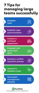 7 Tips For Managing Large Teams Successfully