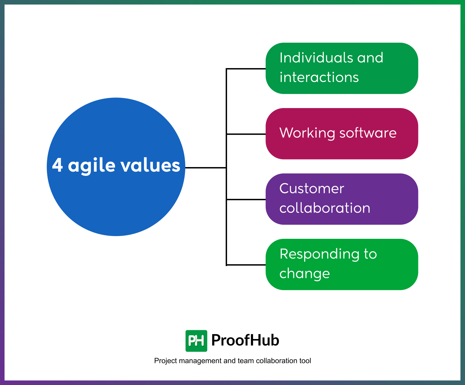 What Is Agile Project Management? [Detailed Guide for 2024]