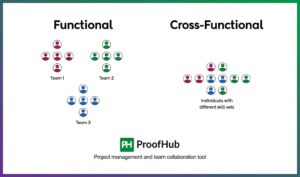 Cross-Functional Teams: Everything You Need to Know