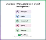 What is MOCHA in Project Management? Benefits & Best Practices